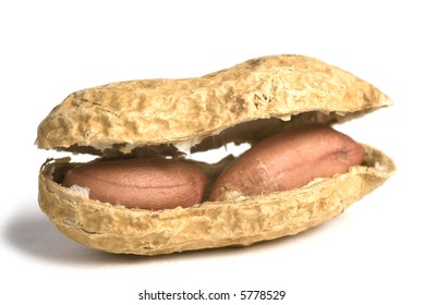 One Single Peanut Stock Photo 5778529 | Shutterstock