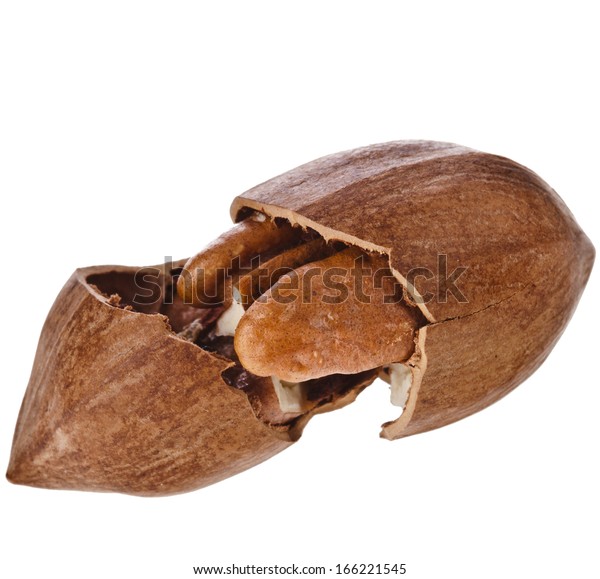 One Single Pecan Nut Close Isolated Stock Photo 166221545 | Shutterstock