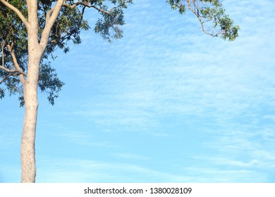 Stock Photo and Image Portfolio by Rich Capamagian | Shutterstock