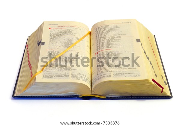 Open Bible Stock Photo 7333876 | Shutterstock