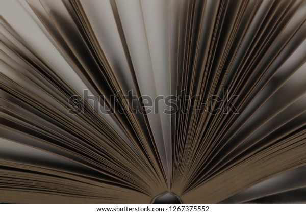 Open Book Side Stock Photo 1267375552 | Shutterstock
