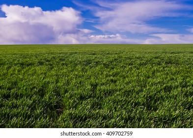 272,540 Open fields Images, Stock Photos & Vectors | Shutterstock