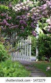 7,183 Open gate with garden Images, Stock Photos & Vectors | Shutterstock