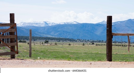 7,685 Open Field Gate Images, Stock Photos & Vectors | Shutterstock