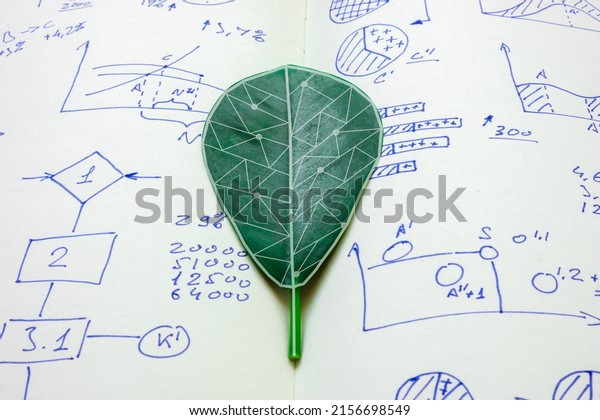 Open Plan Leaf Symbol Environment Responsible Stock Photo 2156698549 ...