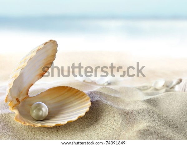 Open Shell Pearl Stock Photo (Edit Now) 74391649