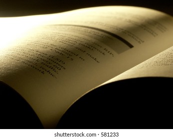 Stock Photo and Image Portfolio by Andrei Contiu | Shutterstock