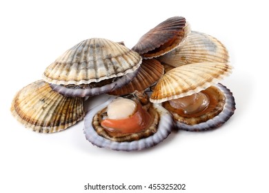 52,156 Scallops isolated Images, Stock Photos & Vectors | Shutterstock