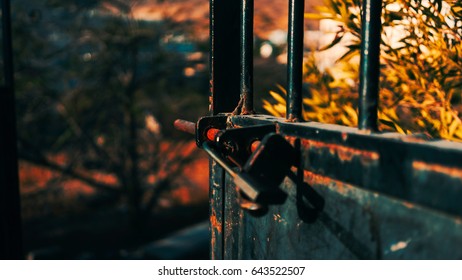 8,820 Open gate isolated Stock Photos, Images & Photography | Shutterstock
