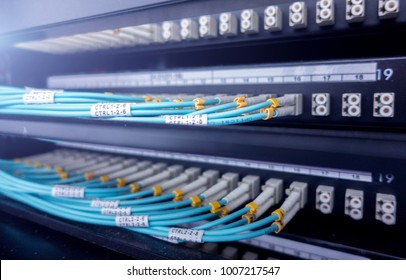Optical Cable Closeup Network Devices Technology Stock Photo 1007217547 ...