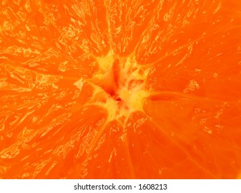 Stock Photo and Image Portfolio by Heather Liddle | Shutterstock
