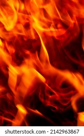 187,799 Foco quemado Stock Photos, Images & Photography | Shutterstock