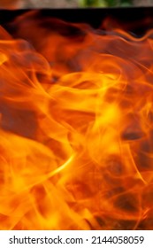 187,799 Foco quemado Stock Photos, Images & Photography | Shutterstock