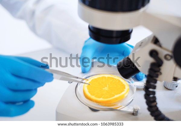 Orange Fruit Sample Quality Control Laboratory Stock Photo (Edit Now ...