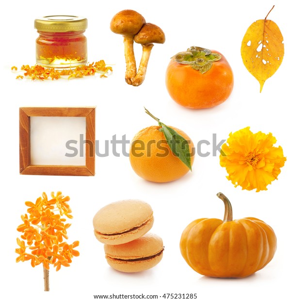 Orange Items Color Flat Layout Stock Photo 475231285 | Shutterstock