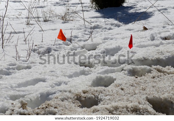 Orange Marker Flags Snow Marking Wires Stock Photo 1924719032 ...