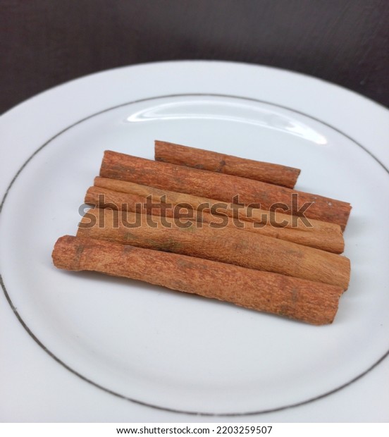 Original Cinnamon Before Processing Popular Spice Stock Photo ...