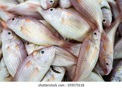 73 Japanese threadfin bream Images, Stock Photos & Vectors | Shutterstock