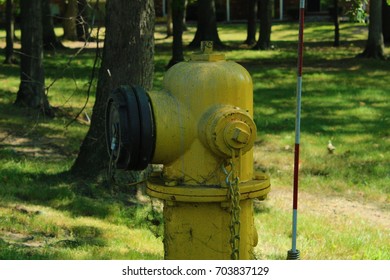 Outdoor Objects View Stock Photo 703837129 | Shutterstock