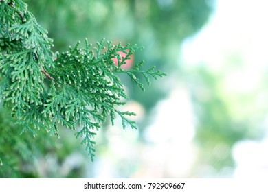 Stock Photo and Image Portfolio by Catie Stanley | Shutterstock