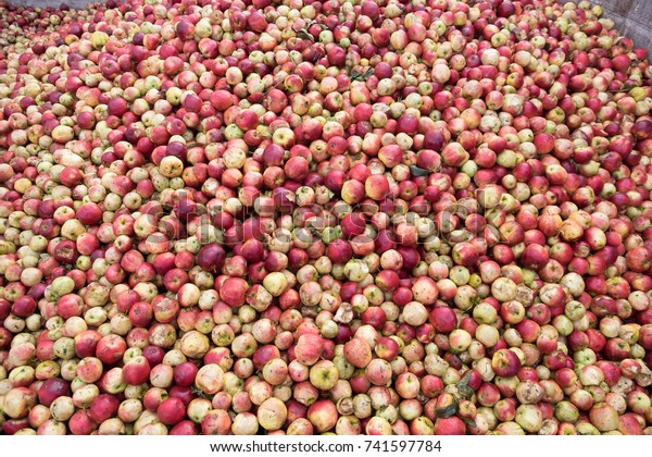 Overhead View Thousands Apples Stock Photo 741597784 | Shutterstock