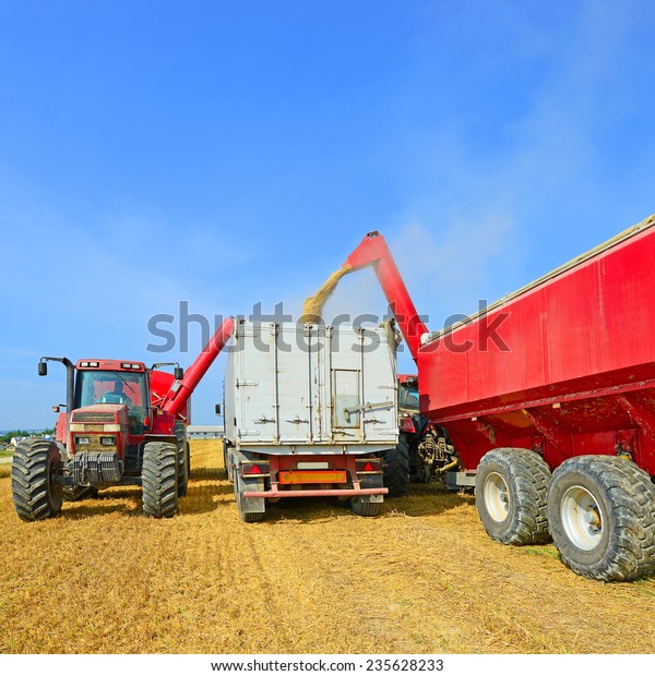 Overloading Maize Hopper Tractor Vehicle Stock Photo 235628233 ...