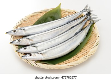 Pacific Saury Stock Photo 475782877 | Shutterstock