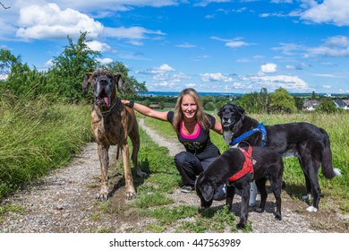 3,616 Walking many dogs Images, Stock Photos & Vectors | Shutterstock