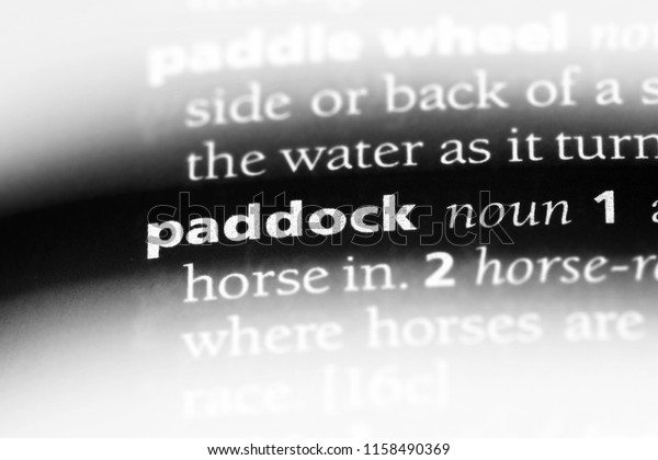 Paddock Word Dictionary Paddock Concept Stock Photo 1158490369 ...