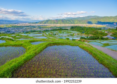 11,058 Paddy step Images, Stock Photos & Vectors | Shutterstock
