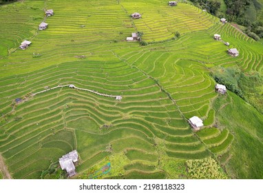 Paddy Rice Fields Shape Layer Papongpaing Stock Photo 2198118323 ...