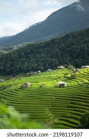 Paddy Rice Fields Shape Layer Papongpaing Stock Photo 2198119107 ...
