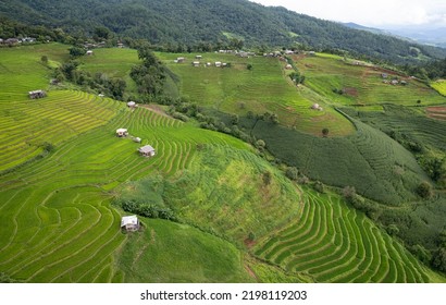 Paddy Rice Fields Shape Layer Papongpaing Stock Photo 2198119203 ...