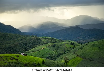 Paddy Rice Fields Shape Layer Papongpaing Stock Photo 2198528255 ...