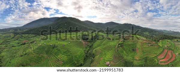 Paddy Rice Fields Shape Layer Papongpaing Stock Photo 2199951783 ...