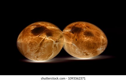 255 afbeeldingen voor Egg x ray: afbeeldingen, stockfoto‘s en vectoren ...