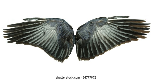 46,230 Wing side view Images, Stock Photos & Vectors | Shutterstock