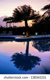 Palm Reflection Stock Photo 138365231 | Shutterstock