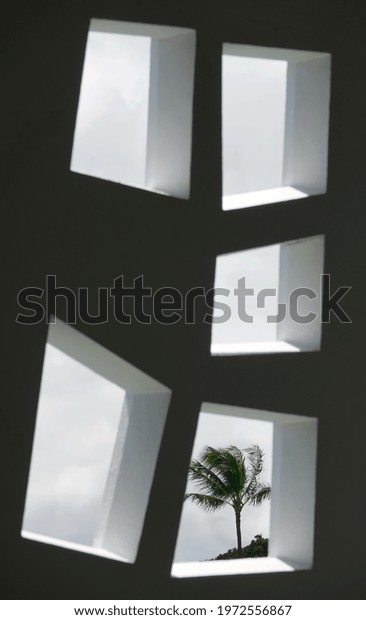 Palm Tree Through Window Stock Photo 1972556867 | Shutterstock
