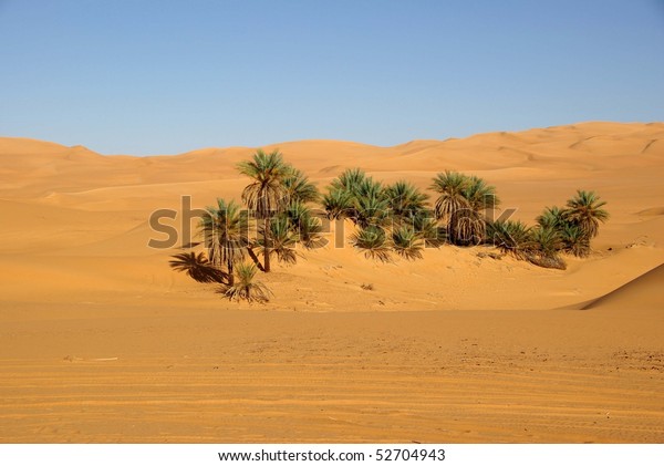 Palm Trees Libya Stock Photo (Edit Now) 52704943