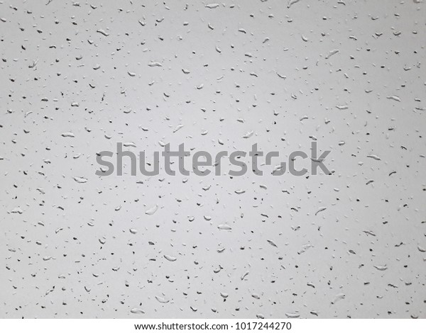 Panel Texture White Color Ceiling Background Stock Photo 1017244270 ...