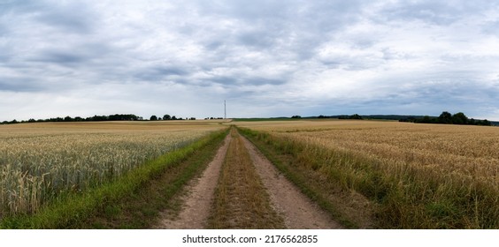 5,030 Cornfield road Images, Stock Photos & Vectors | Shutterstock