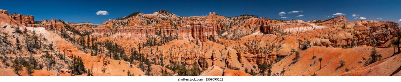 Peekapoo : 32 images, photos et images vectorielles de stock | Shutterstock
