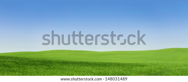 Panoramic View Empty Green Field Copy Stock Photo 148031489 | Shutterstock