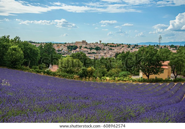 Panoramic View Lavender Fields Under Sunny Stock Photo 608962574 ...