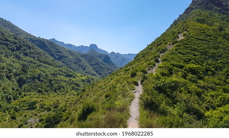 Daqingshan Images, Stock Photos & Vectors | Shutterstock