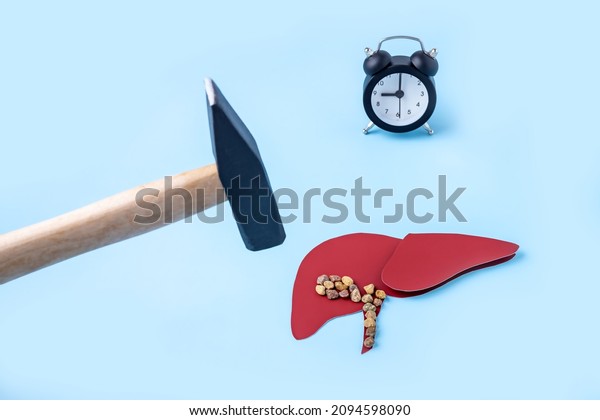 Paper Model Human Liver Gallbladder Made Stock Photo 2094598090 ...