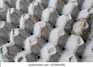 7,662 Empty Egg Boxes Images, Stock Photos & Vectors | Shutterstock