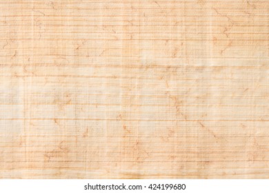 Papyrus Paper Texture Stock Photo 424199680 | Shutterstock