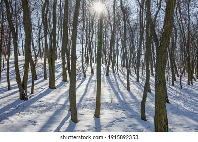 18,274 Parallel Shadow Images, Stock Photos & Vectors | Shutterstock
